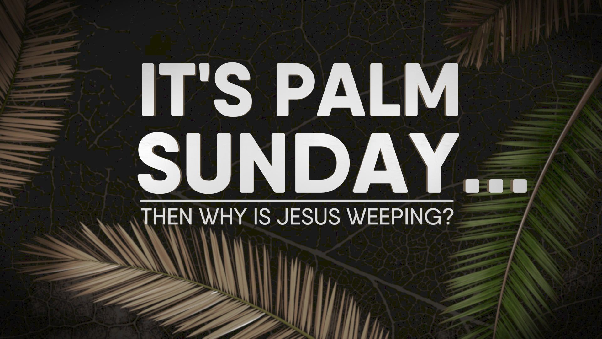 It’s Palm Sunday… Then Why Is Jesus Weeping? - Leading The Way Canada